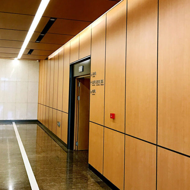 Phenolic Door